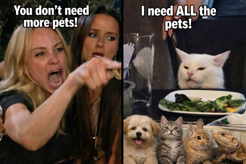 Generatore di Meme AI: Trasforma Testo e Foto in Meme - Somake AI